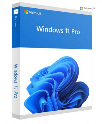 Microsoft Windows 11 Professional – QI Store